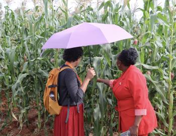 Gender equity and social inclusion (GESI): Priority action area ...